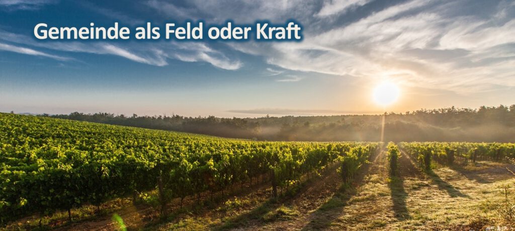Gemeinde als Feld oder Kraft – Evangelische Freikirche Querum